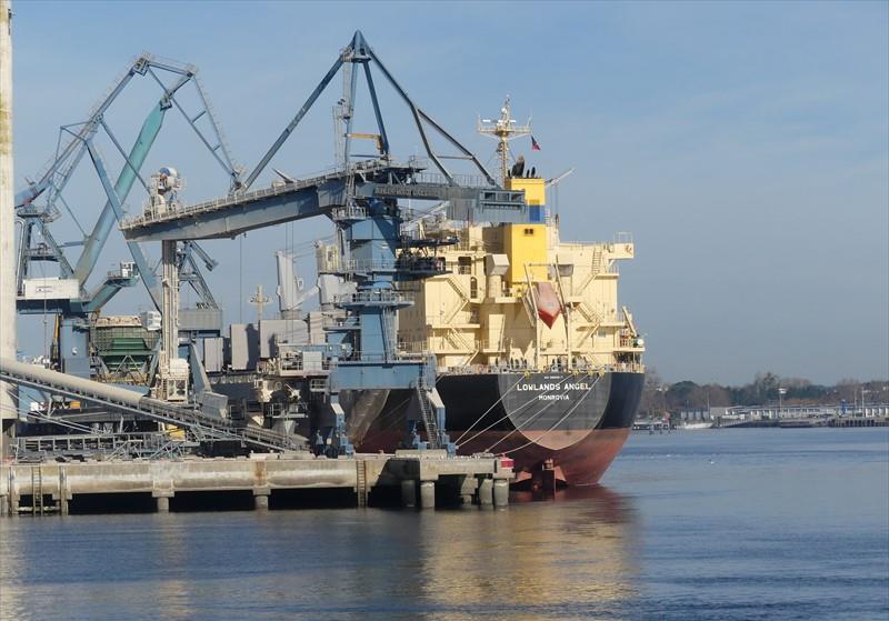 LOWLANDS ANGEL - Vesseljoin