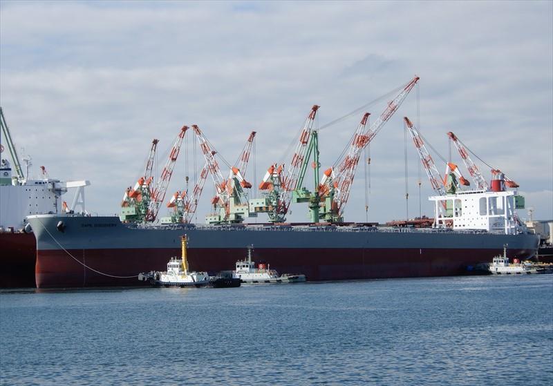 CAPE DISCOVERY - Vesseljoin