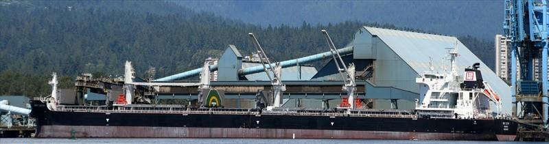 MSXT CATHY - Vesseljoin