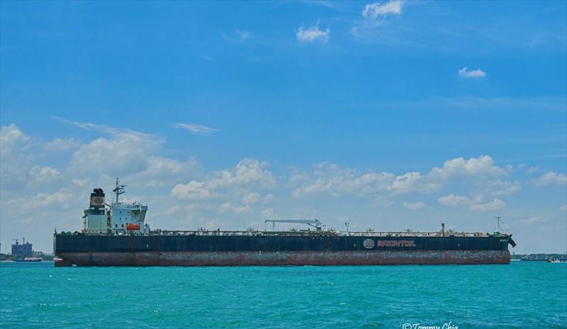 CHIOS LION - Vesseljoin