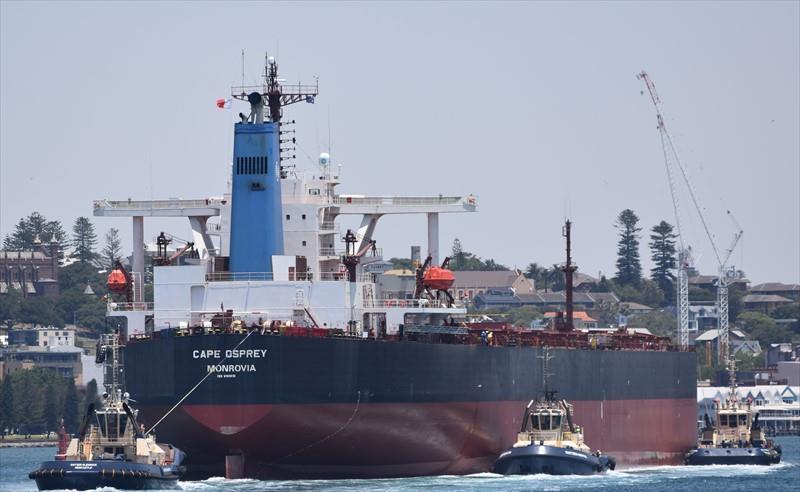 CAPE OSPREY - Vesseljoin