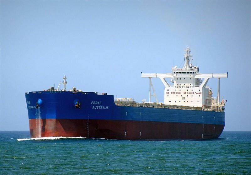 FERAE AUSTRALIS - Vesseljoin