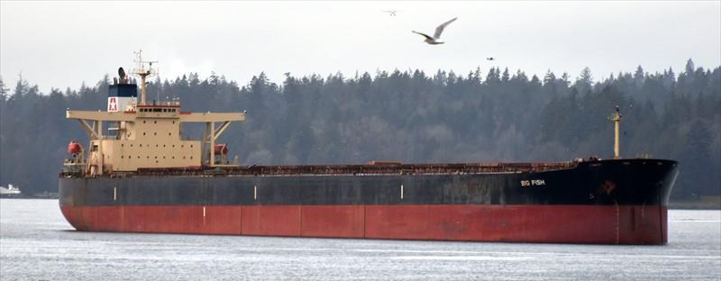 BIG FISH - Vesseljoin