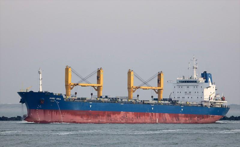 IVORY GULL - Vesseljoin