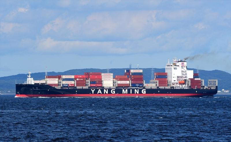 YM CELEBRITY - Vesseljoin