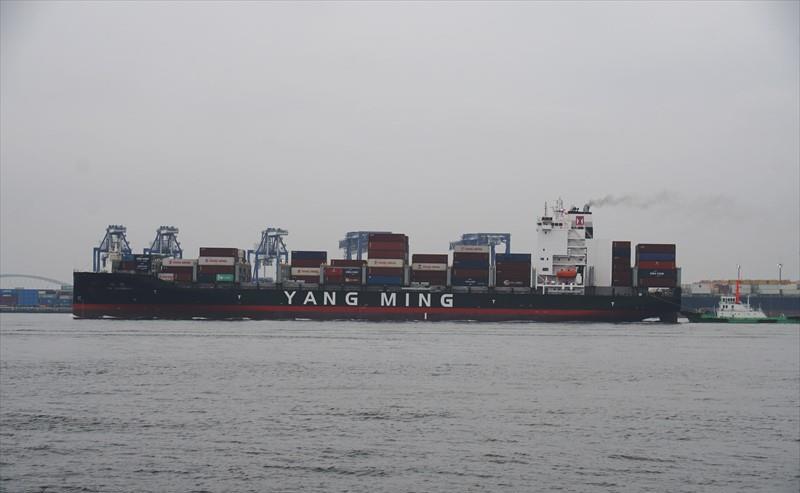 YM CELEBRITY - Vesseljoin