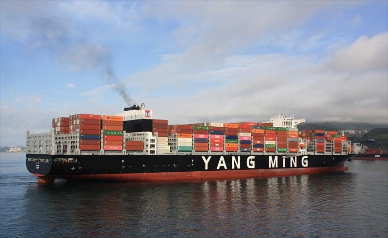 YM TRIUMPH - Vesseljoin