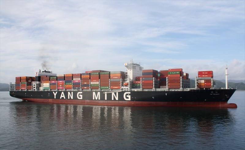 YM TRIUMPH - Vesseljoin