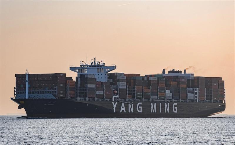 YM TRIUMPH - Vesseljoin