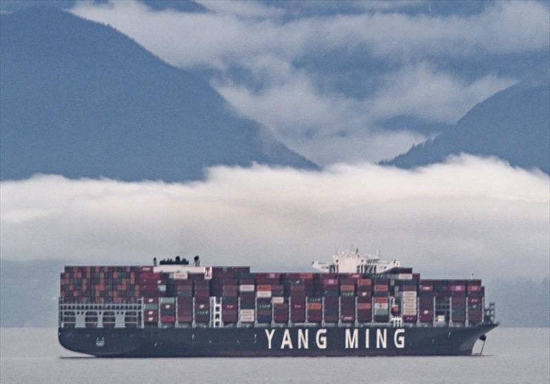 YM TRUTH - Vesseljoin