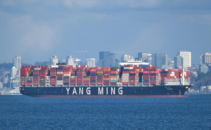 YM TRUTH - Vesseljoin