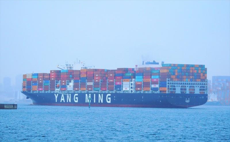 YM TRUTH - Vesseljoin