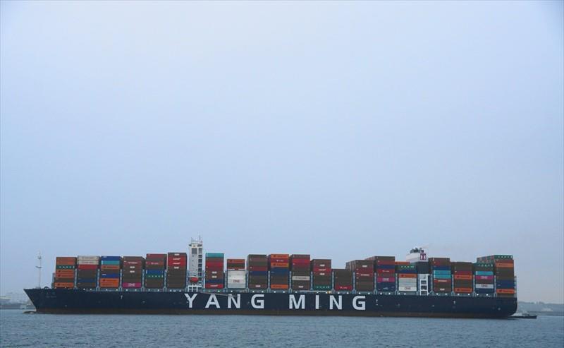 YM TRUTH - Vesseljoin