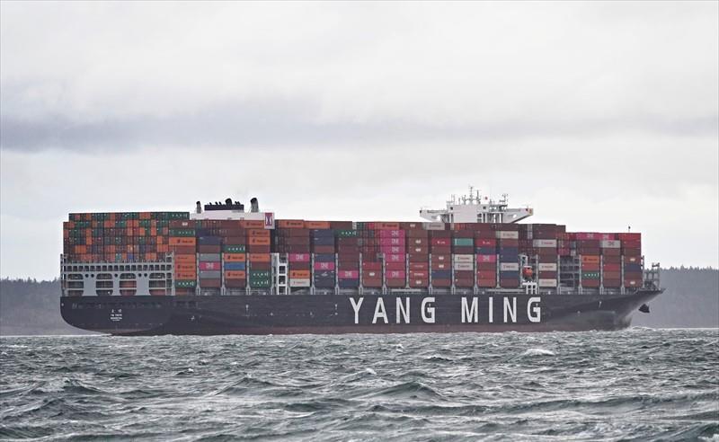 YM TRUTH - Vesseljoin