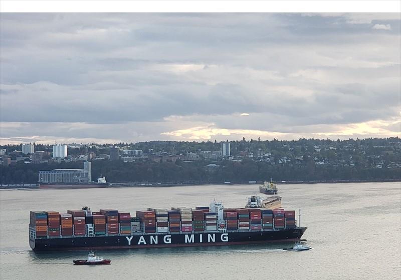 YM TRUTH - Vesseljoin