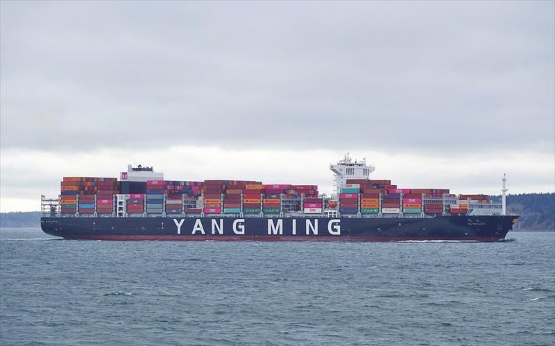 YM TOTALITY - Vesseljoin