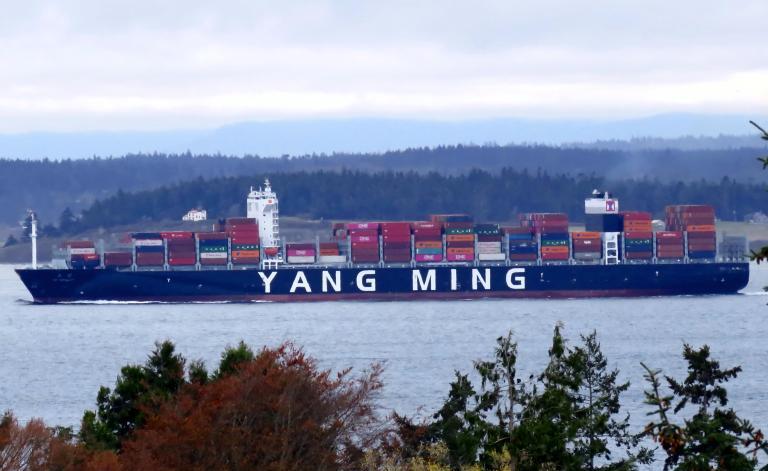 YM TOTALITY - Vesseljoin