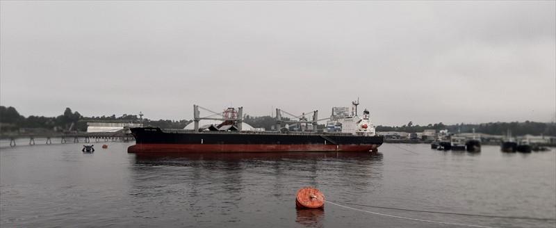 PROSPER BEE - Vesseljoin