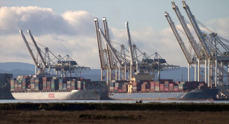 MSC DAISY - Vesseljoin