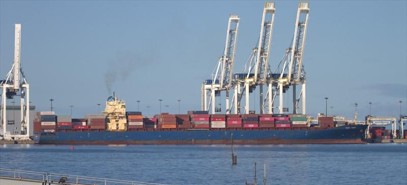 MSC DAISY - Vesseljoin