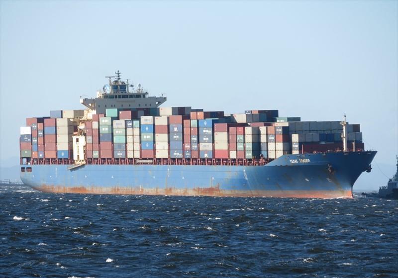 MSC DAISY - Vesseljoin