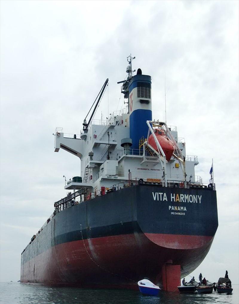 VITA HARMONY - Vesseljoin