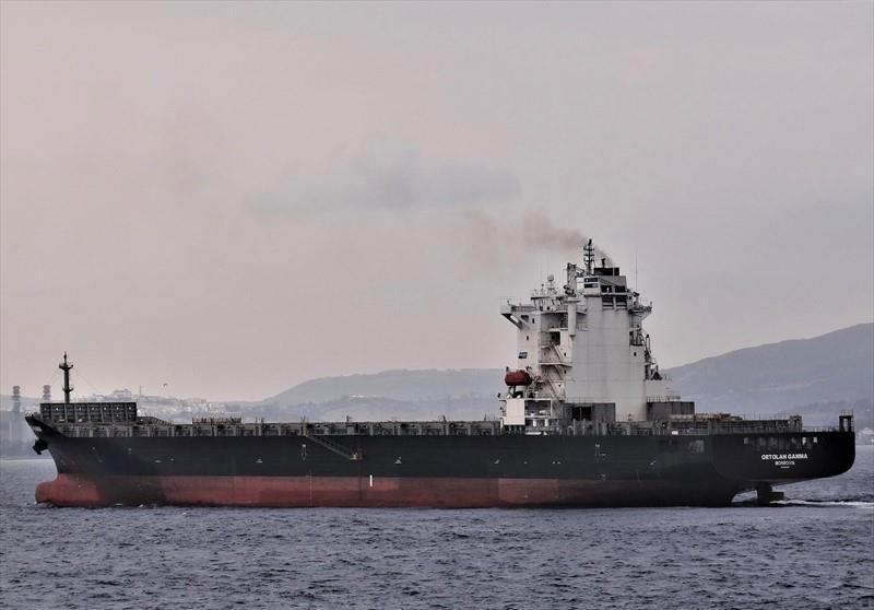 ORTOLAN GAMMA - Vesseljoin