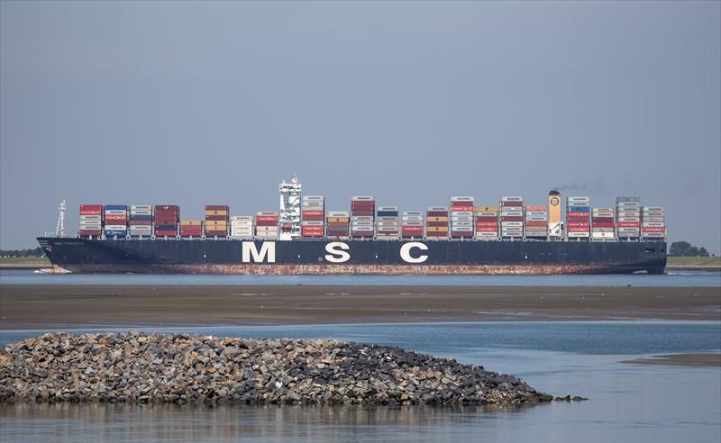 MSC TARANTO - Vesseljoin