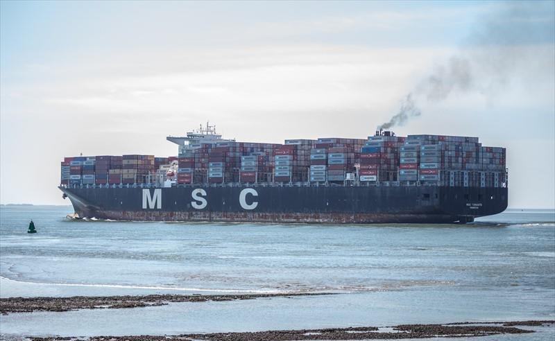 MSC TARANTO - Vesseljoin