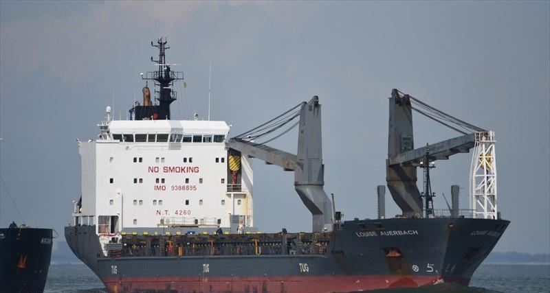 LOUISE AUERBACH - Vesseljoin