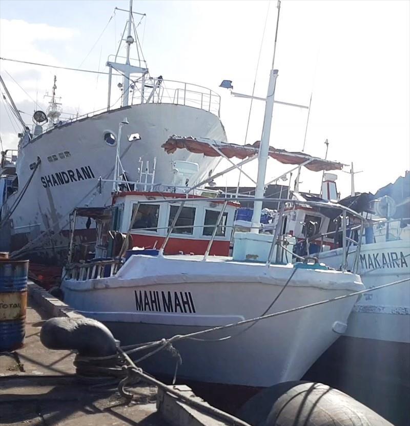 MAHI MAHI - Vesseljoin