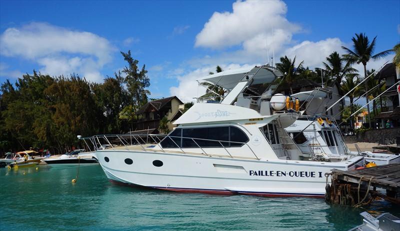 PAILLE EN QUEUE 1 - Vesseljoin