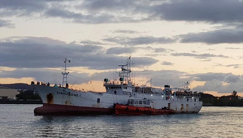 EVERGOLD NO.1 - Vesseljoin