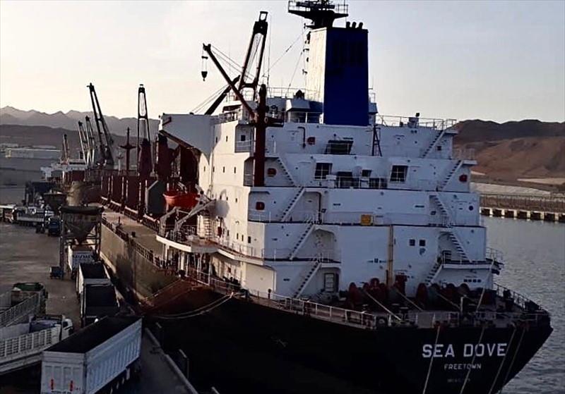 SEA DOVE - Vesseljoin