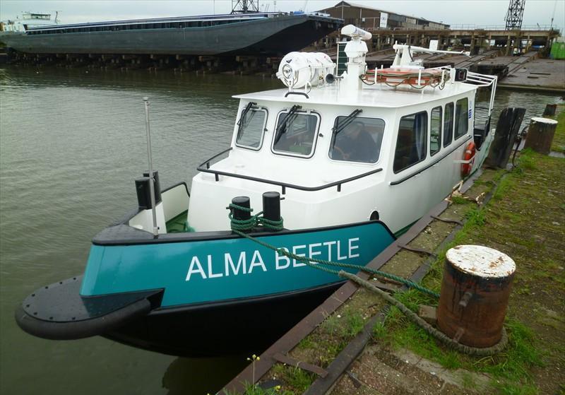 ALMA BEETLE - Vesseljoin