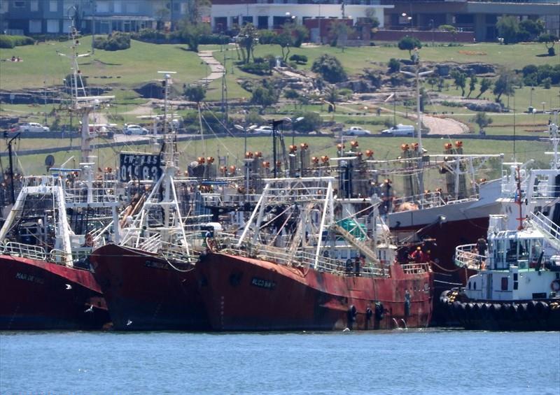 ALCO BARI - Vesseljoin