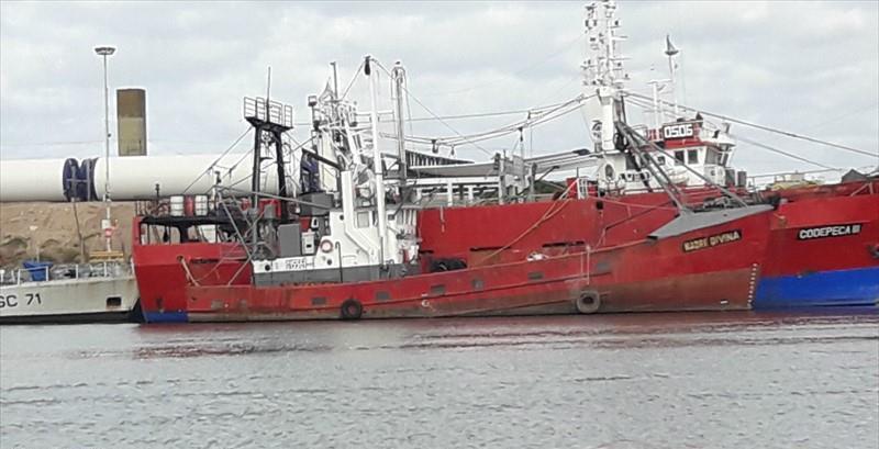 MADRE DIVINA - Vesseljoin