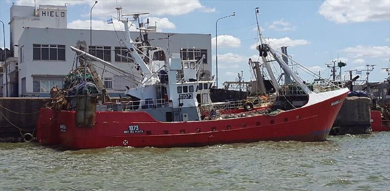 MARBELLA - Vesseljoin