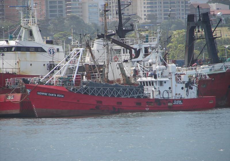 SIEMPRE SANTA ROSA - Vesseljoin