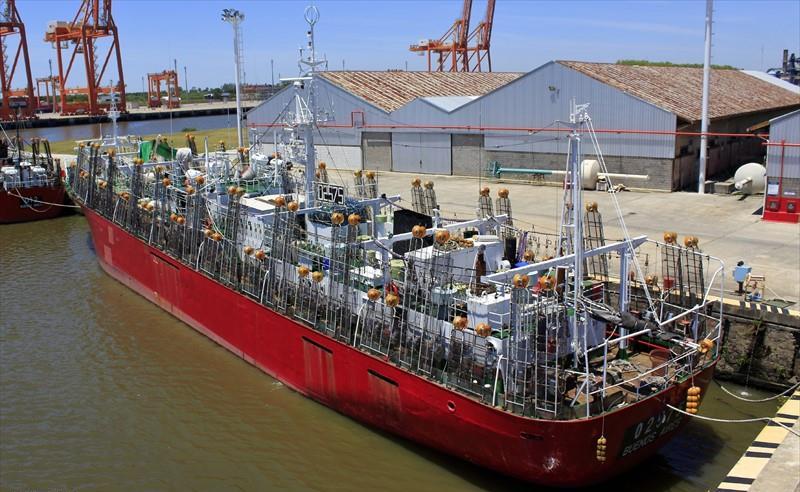 ESTRELLA 11 - Vesseljoin