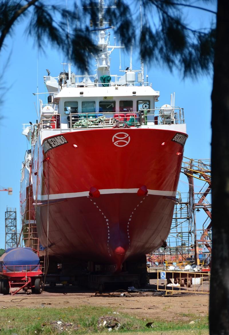 BOGAVANTE SEGUNDO - Vesseljoin