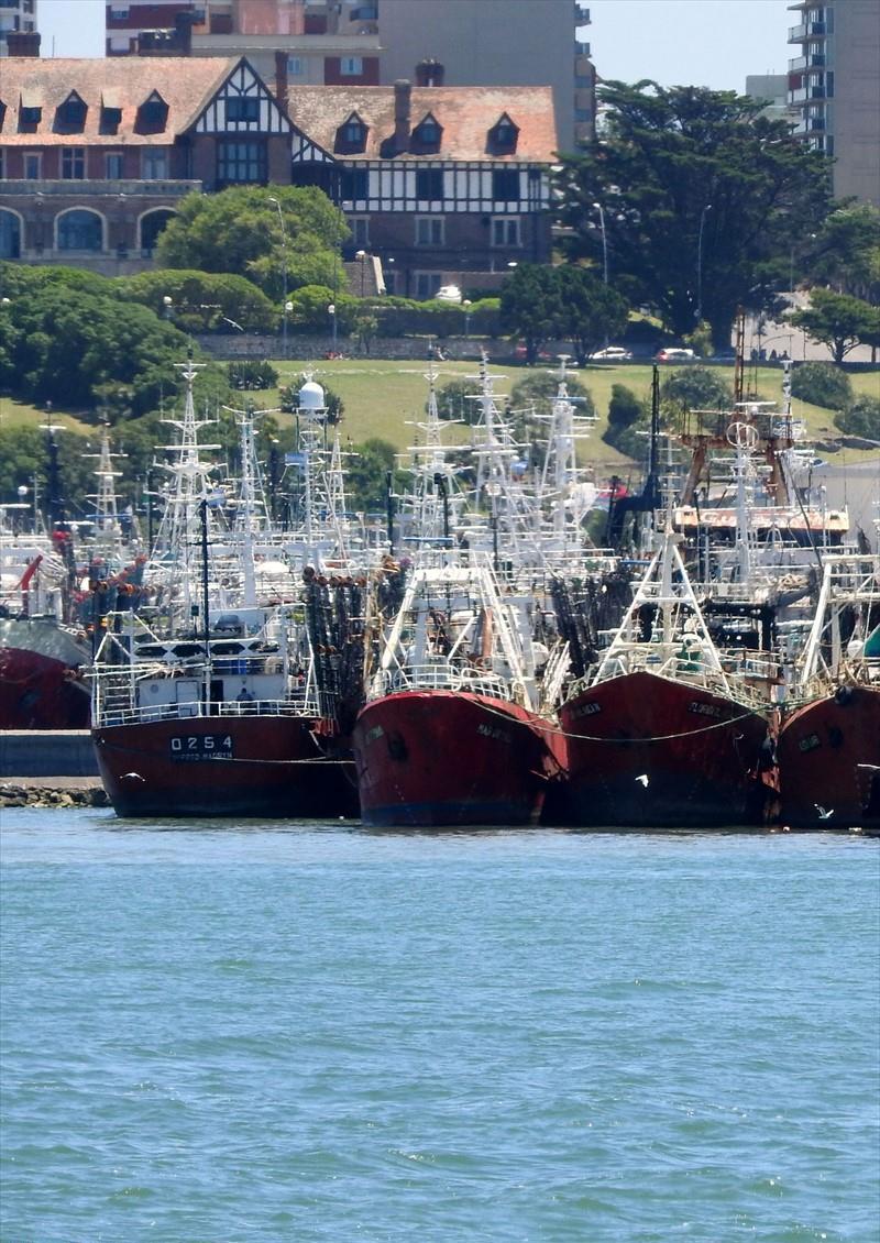 MAR DE ORO - Vesseljoin