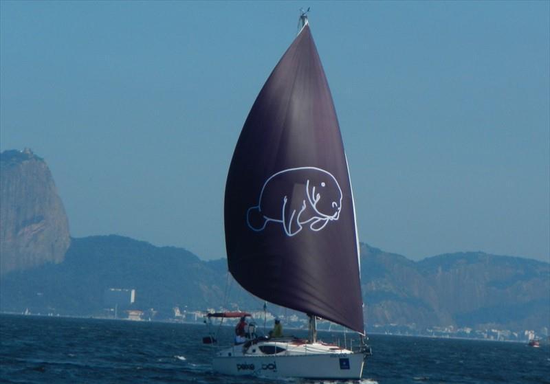 PEIXE BOI MJ - Vesseljoin