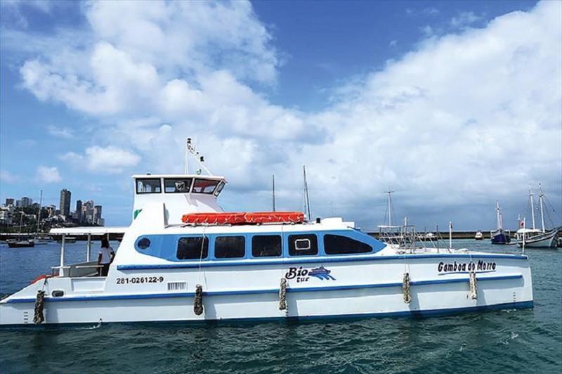 GAMBOA DO MORRO - Vesseljoin