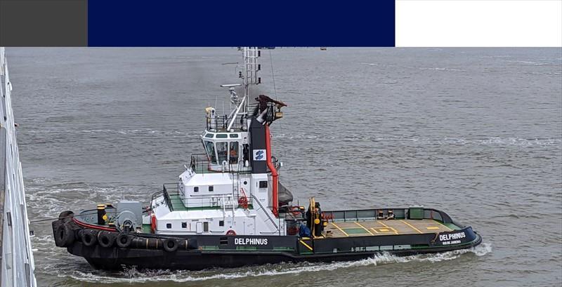 DELPHINUS - Vesseljoin