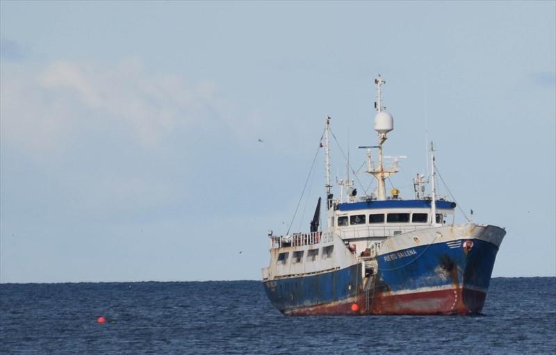 PUERTO BALLENA - Vesseljoin