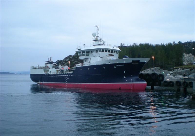 SEIGRUNN - Vesseljoin