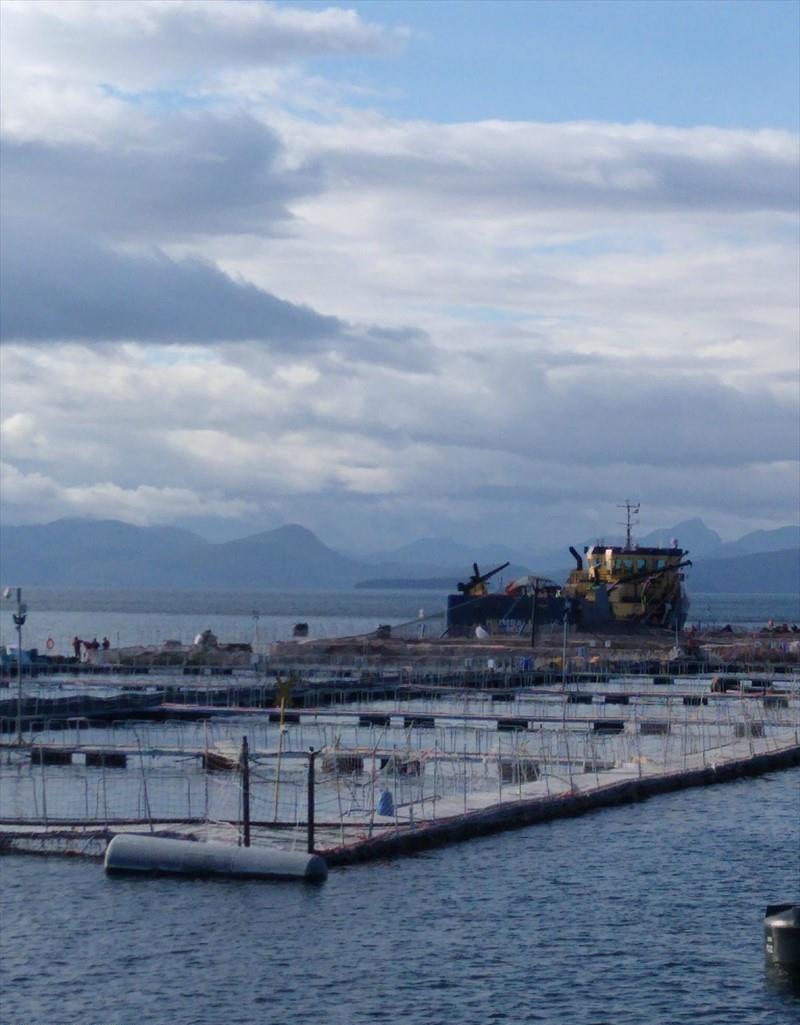 HEIMDALL - Vesseljoin