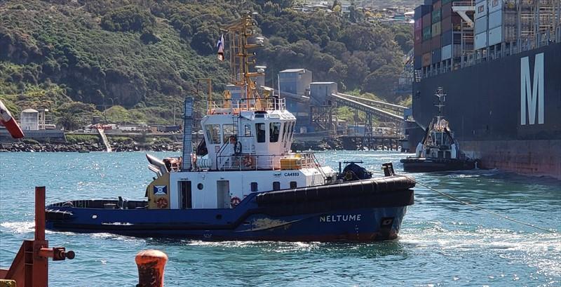 NELTUME - Vesseljoin