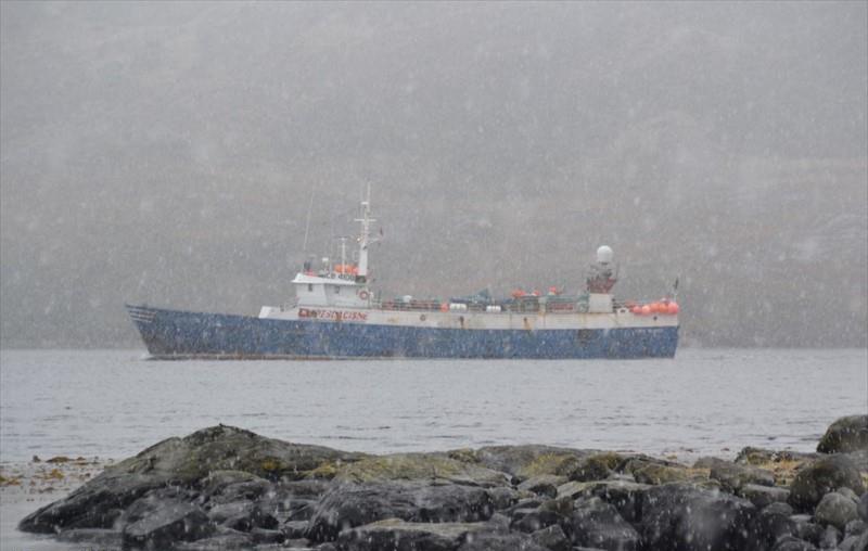 CISNE BLANCO - Vesseljoin